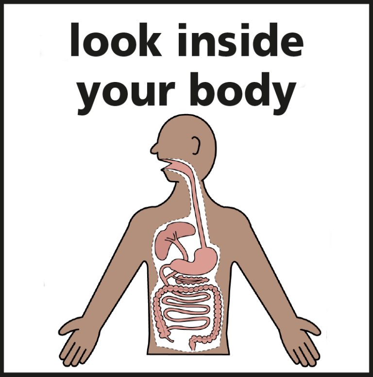 Having a CT scan - Digital patient information hub