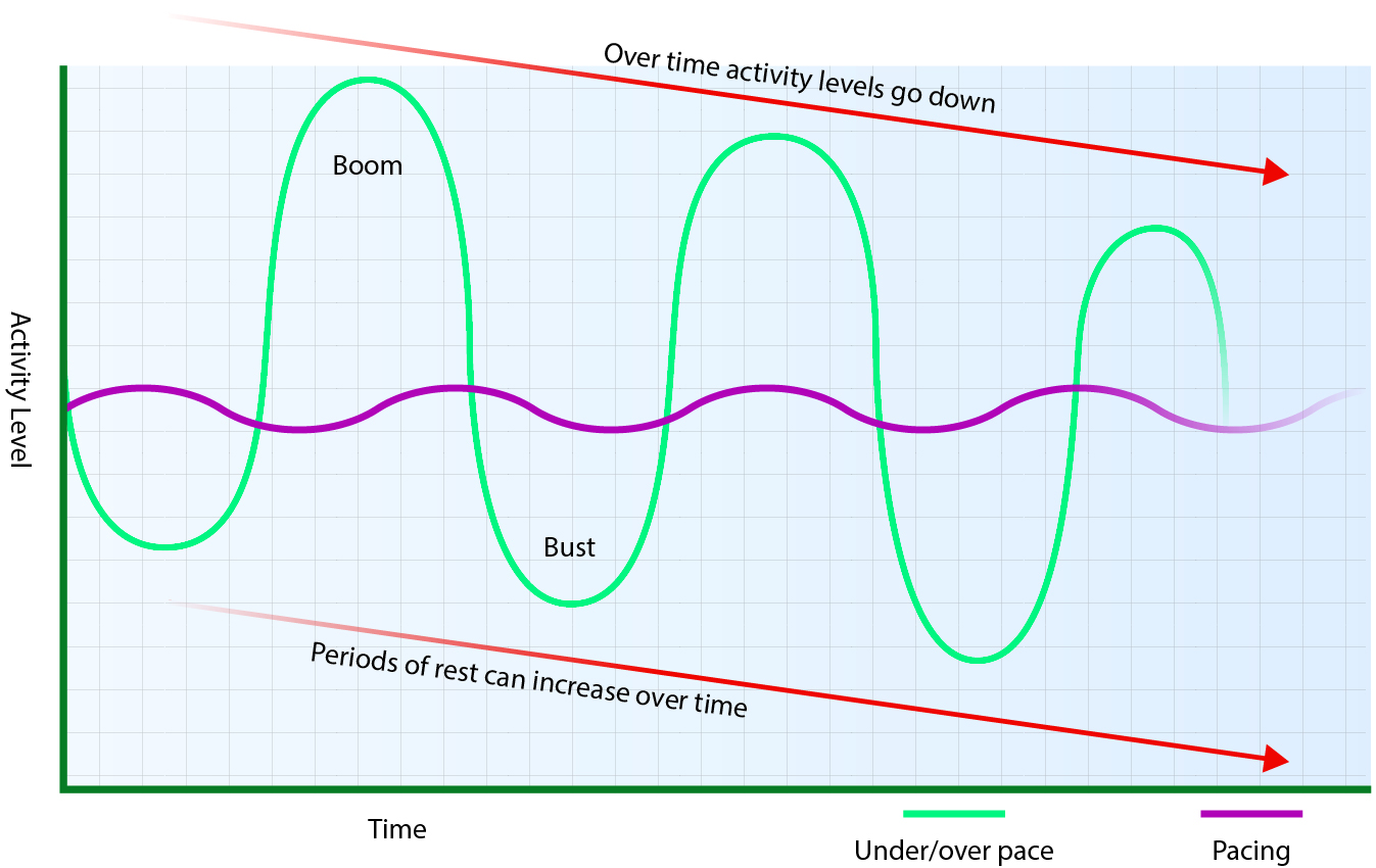 Arthritis - Digital patient information hub